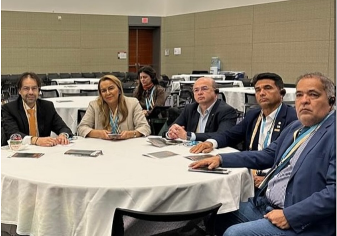 Daniel Matos, Autor em Daniel Matos